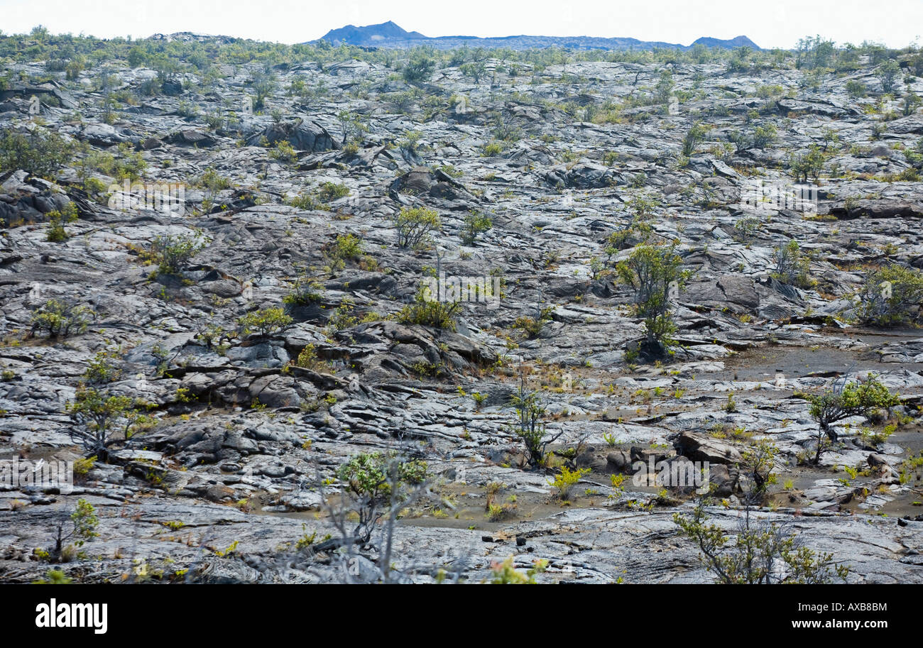Ka u Desert in Hawaii Volcanoes National Park Stock Photo - Alamy