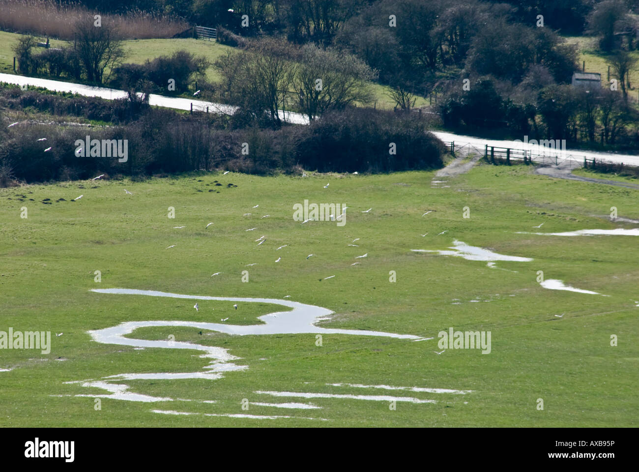 Flooded Fields Pasture Stock Photo - Alamy