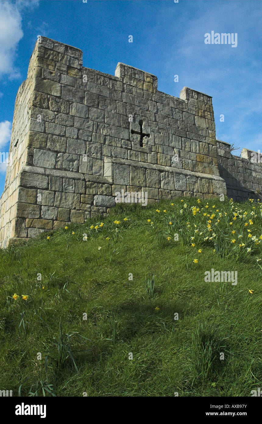Medieval city wall, York, England Stock Photo - Alamy