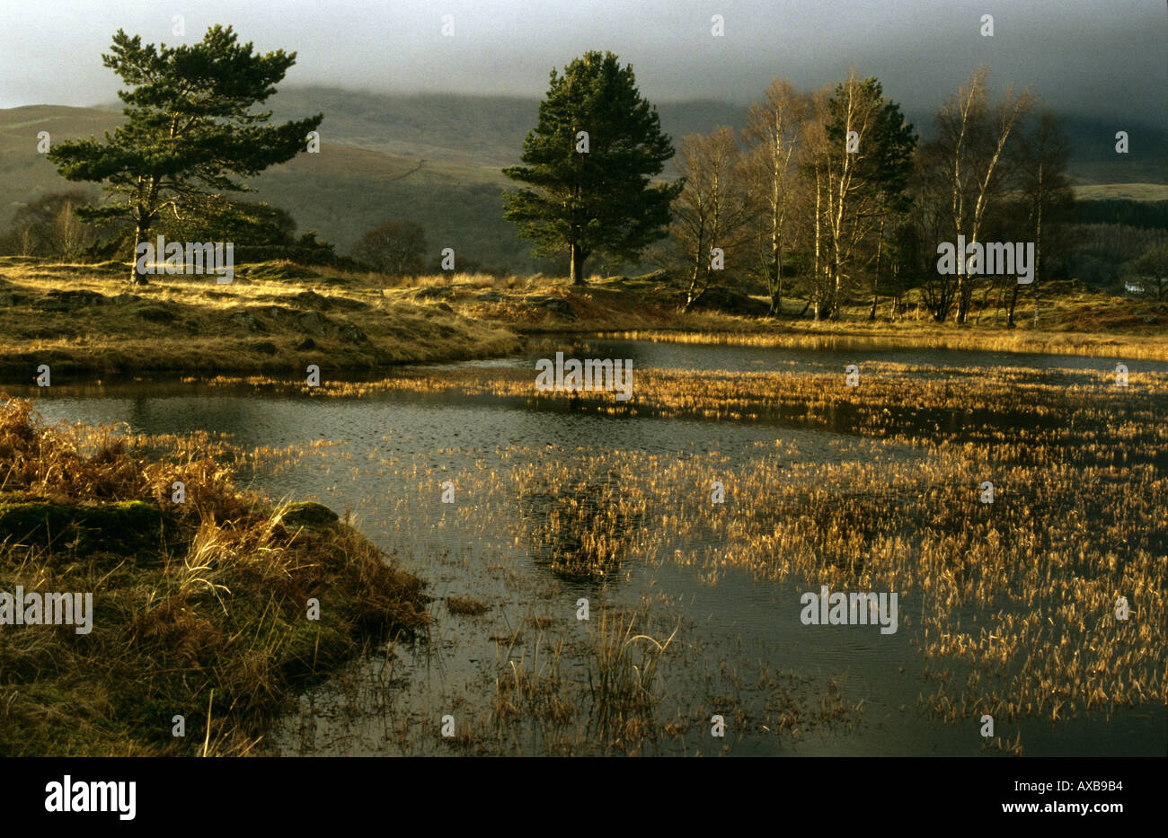 Torver common cumbria hi-res stock photography and images - Alamy