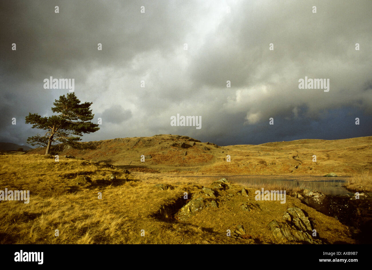 Torver common lake district hi-res stock photography and images - Alamy