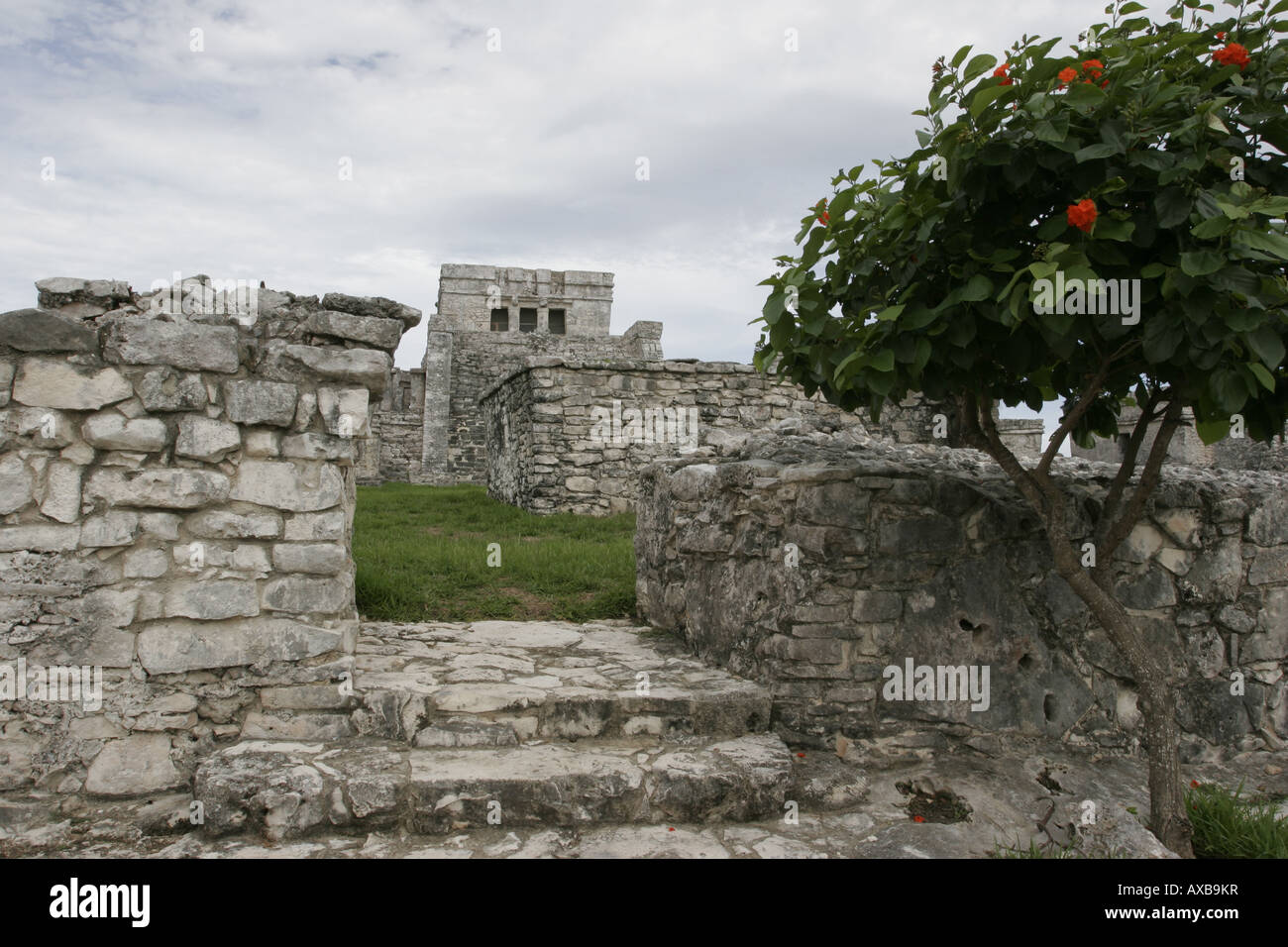 Temple Tulum Yucatan Mexico Stock Photo - Alamy