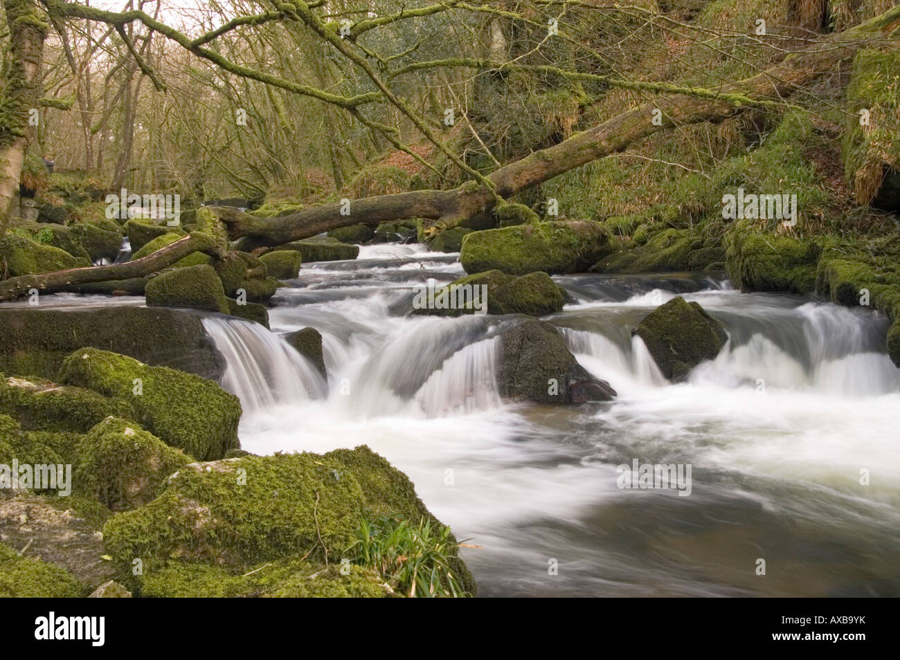 Waterfall at Golitha Falls on Bodmin Moor Cornwall Stock Photo - Alamy