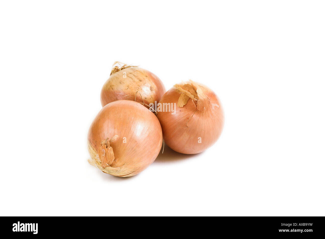 Three Cooking Onions cut out Stock Photo - Alamy
