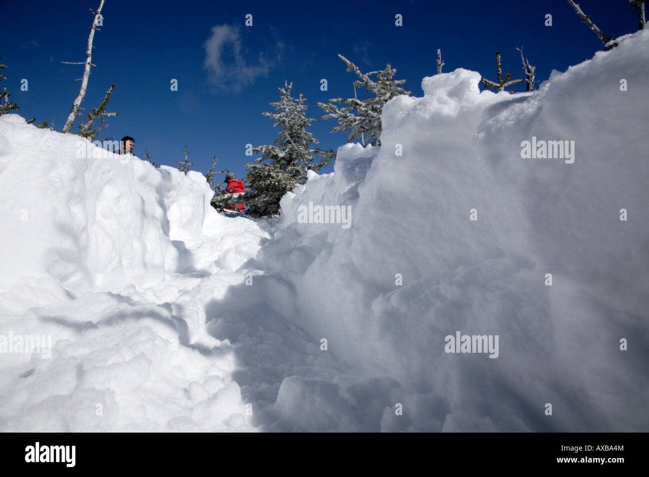 Snowshoe track on the Hancock Loop Trail in the White Mountains New ...