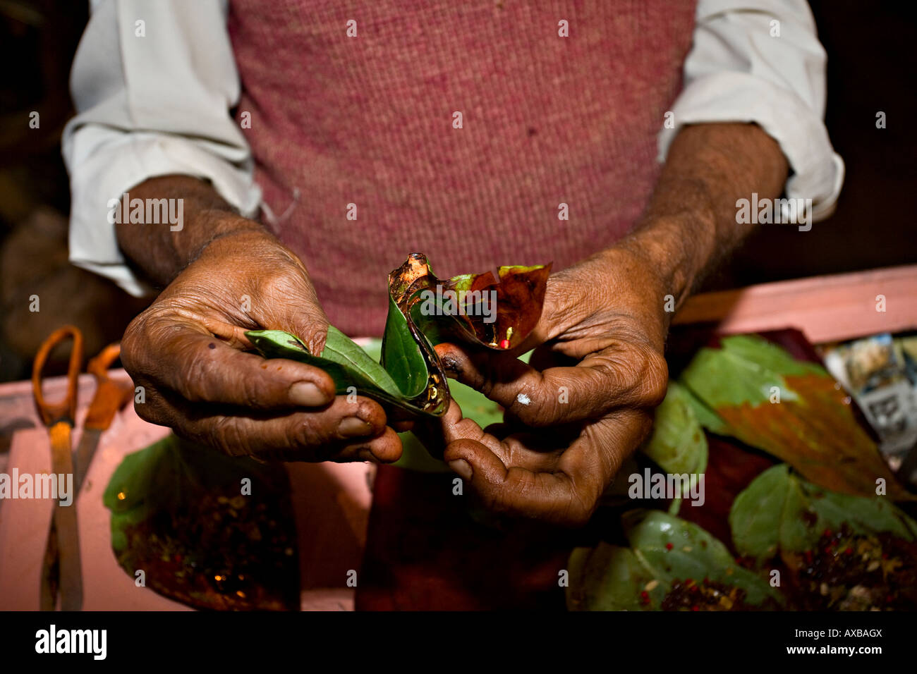 Making Paan, Rajasthan, India Stock Photo - Alamy