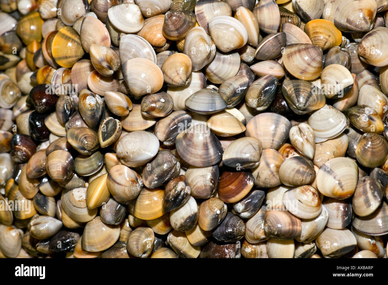 Asia seafood market hi-res stock photography and images - Alamy