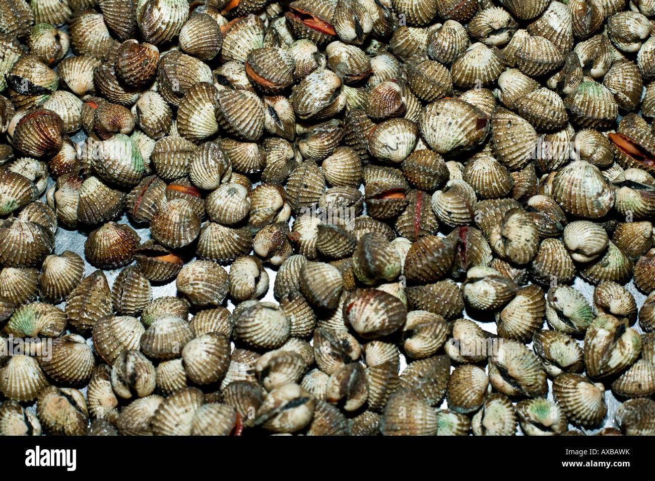 Cockles hi-res stock photography and images - Alamy