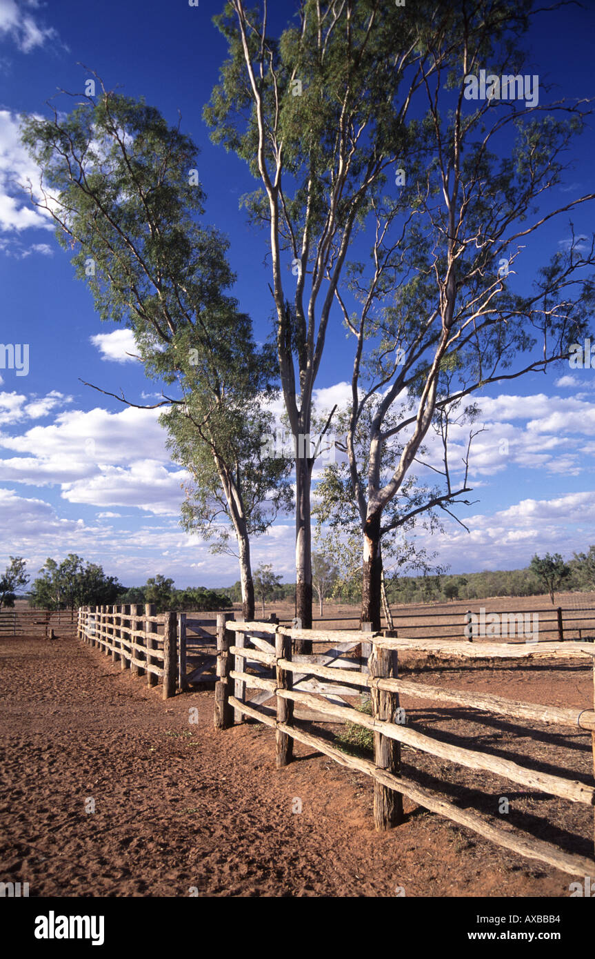Cattle ranch in the Australian outback Stock Photo - Alamy