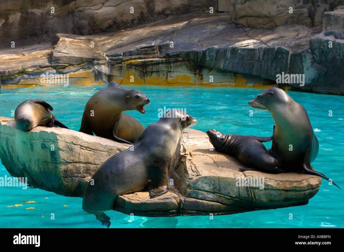 ZOO in the Parc de la Ciutadella Barcelona Catalunya Spain Stock Photo ...