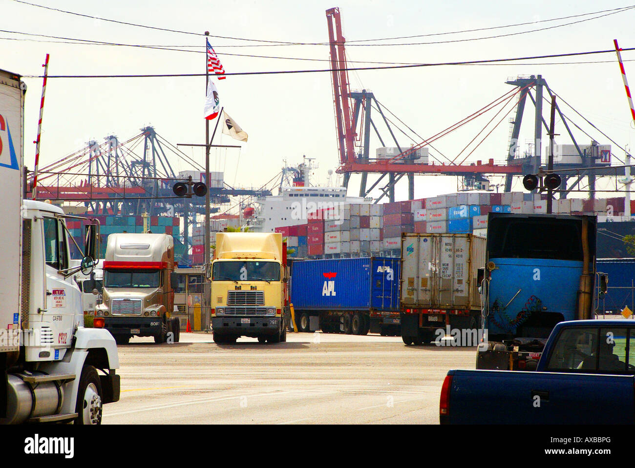 Trucks load and unload shipping containers at Los Angeles Harbor ...