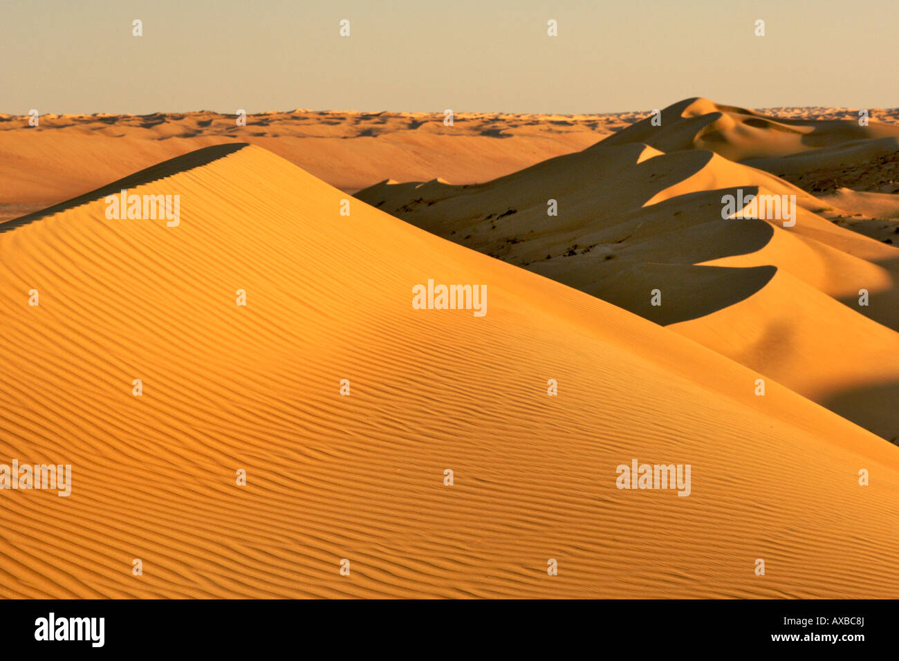 View across Wahiba Sands (Ramlat al Wahaybah) in Oman Stock Photo - Alamy