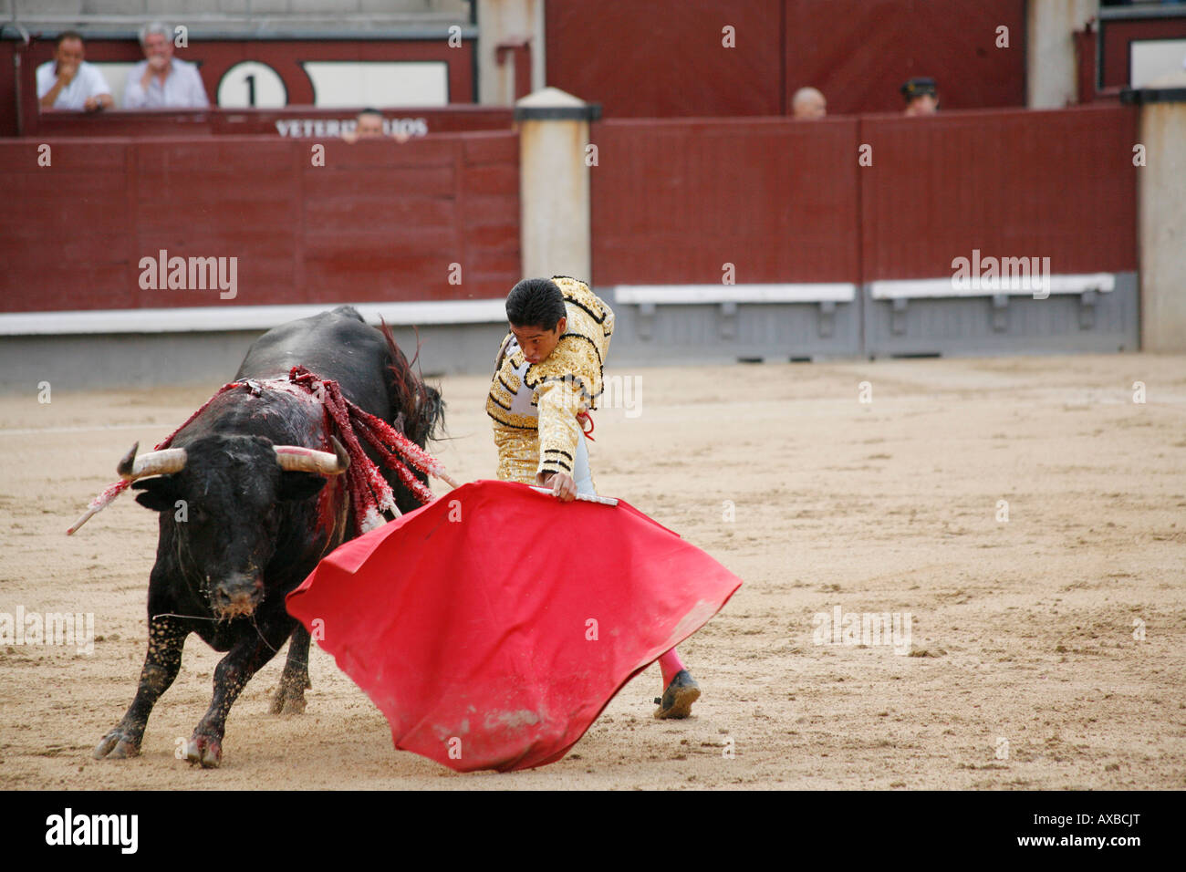 Bullfighting, Las Ventas arena, Madrid, Spain Stock Photo - Alamy