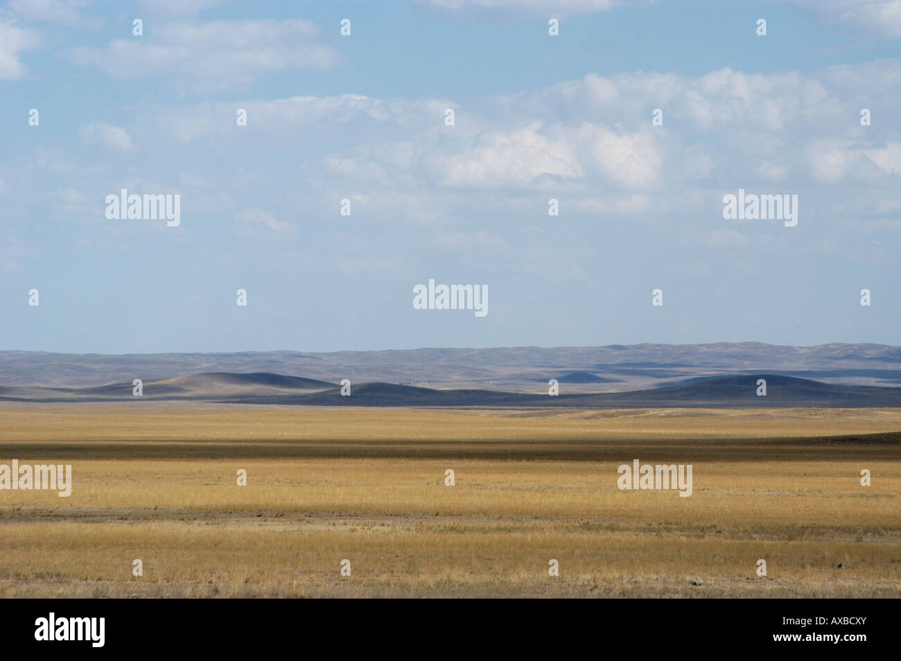 The steppe; heading for Tamgaly; Kazakhstan Stock Photo - Alamy