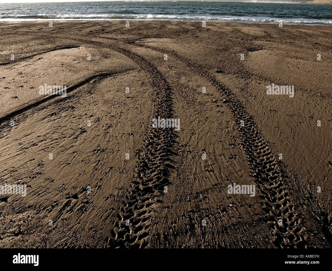 Car tire tracks going towards the sea on Saleen beach in Co Waterford ...
