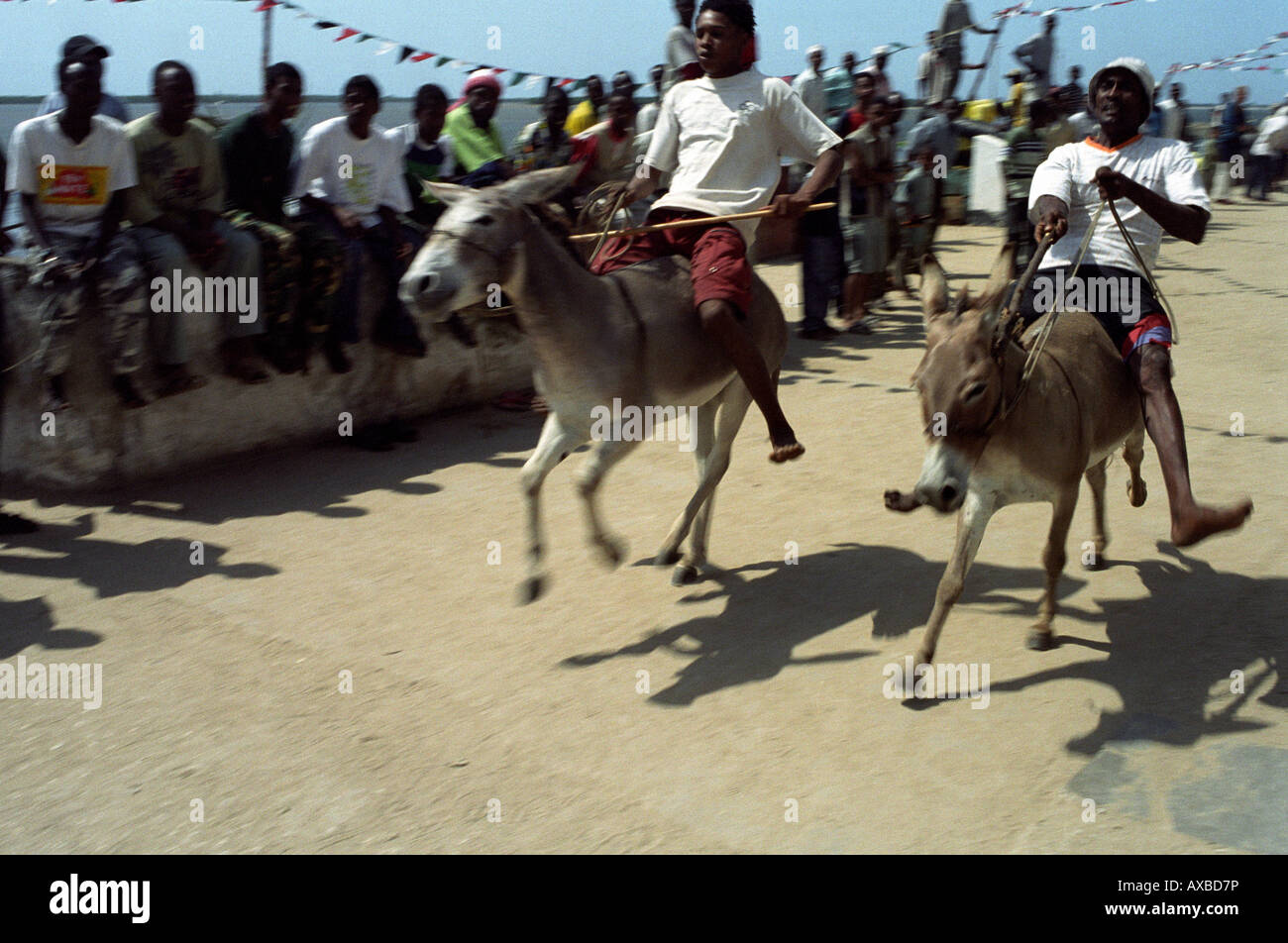 donkey races on Lamu island, celebrating the Swahili Maulidi festival ...