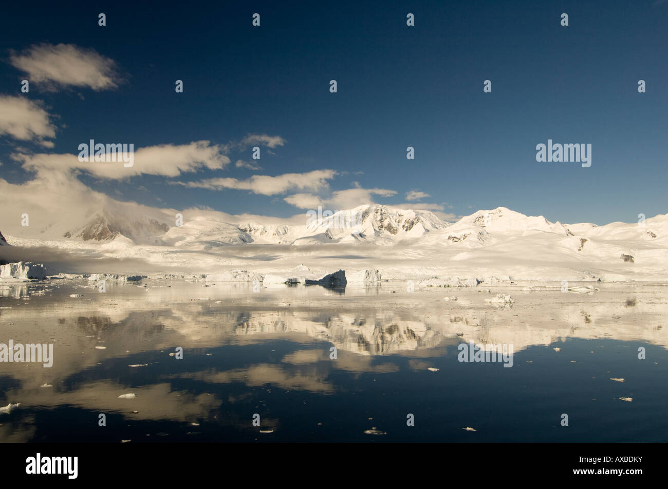 Antarctica Antarctic Peninsula Gerlache strait Stock Photo - Alamy