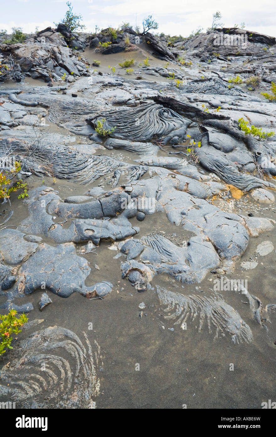 Long hardened lava flows on the Ka'u Desert in Hawai'i Volcanoes ...