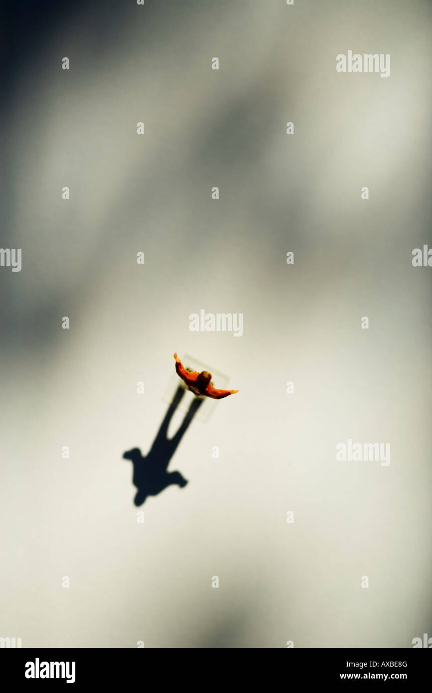 Male figure with raised arms hi-res stock photography and images - Alamy