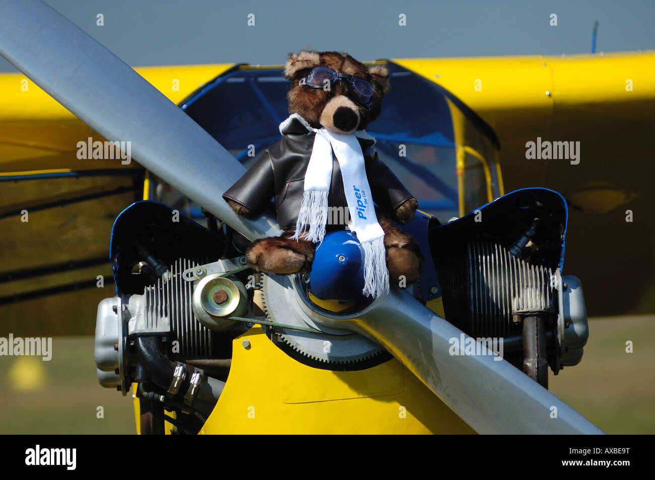 Pilot teddy bear "Cub" seated on the famous "cub" plane propeller, the ...