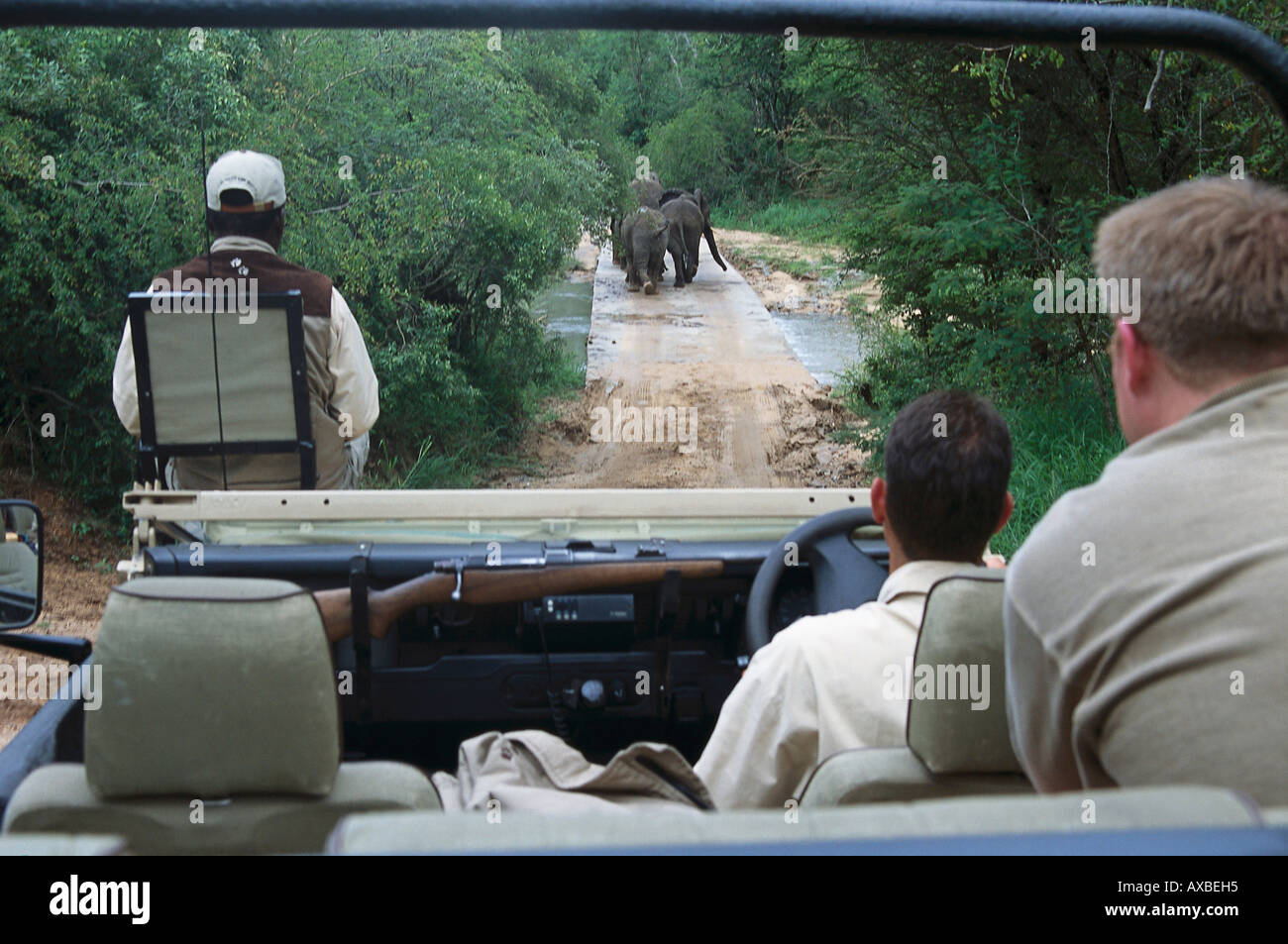 Ulusaba safari hi-res stock photography and images - Alamy