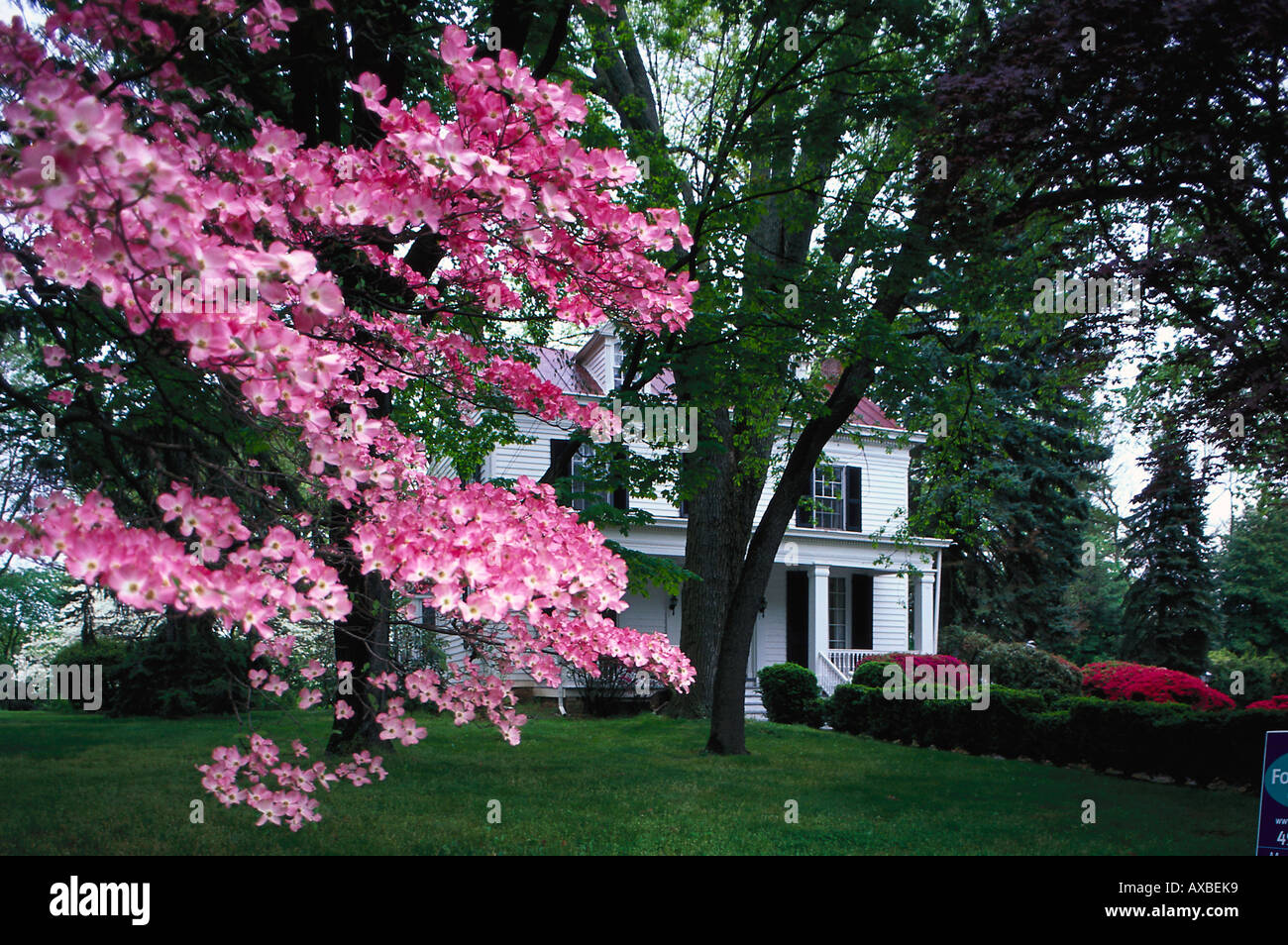 Hamptons, Spring, Long Island New York, USA Stock Photo - Alamy