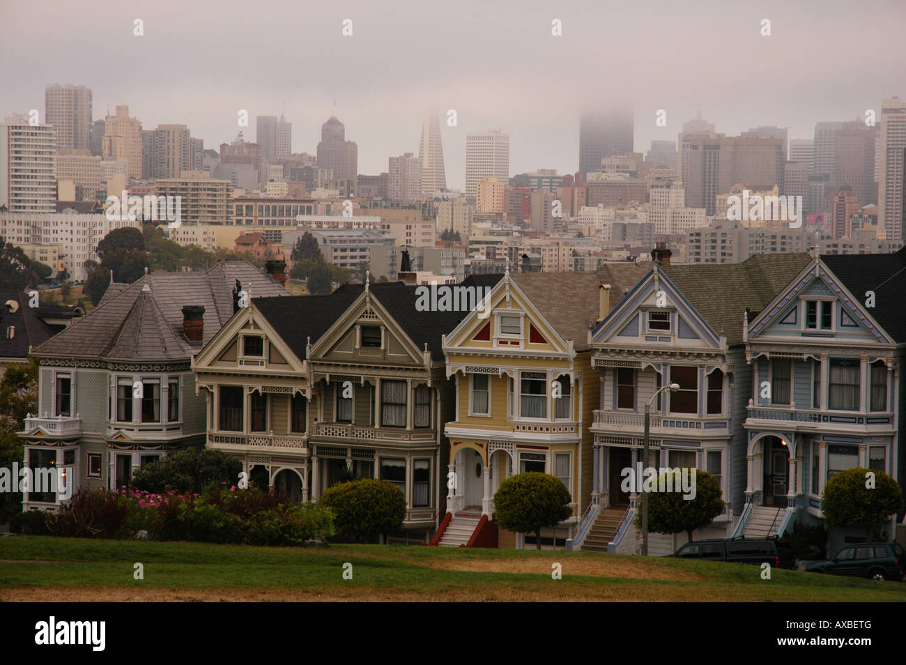 Houses in Alamo Square San Francisco USA Stock Photo - Alamy