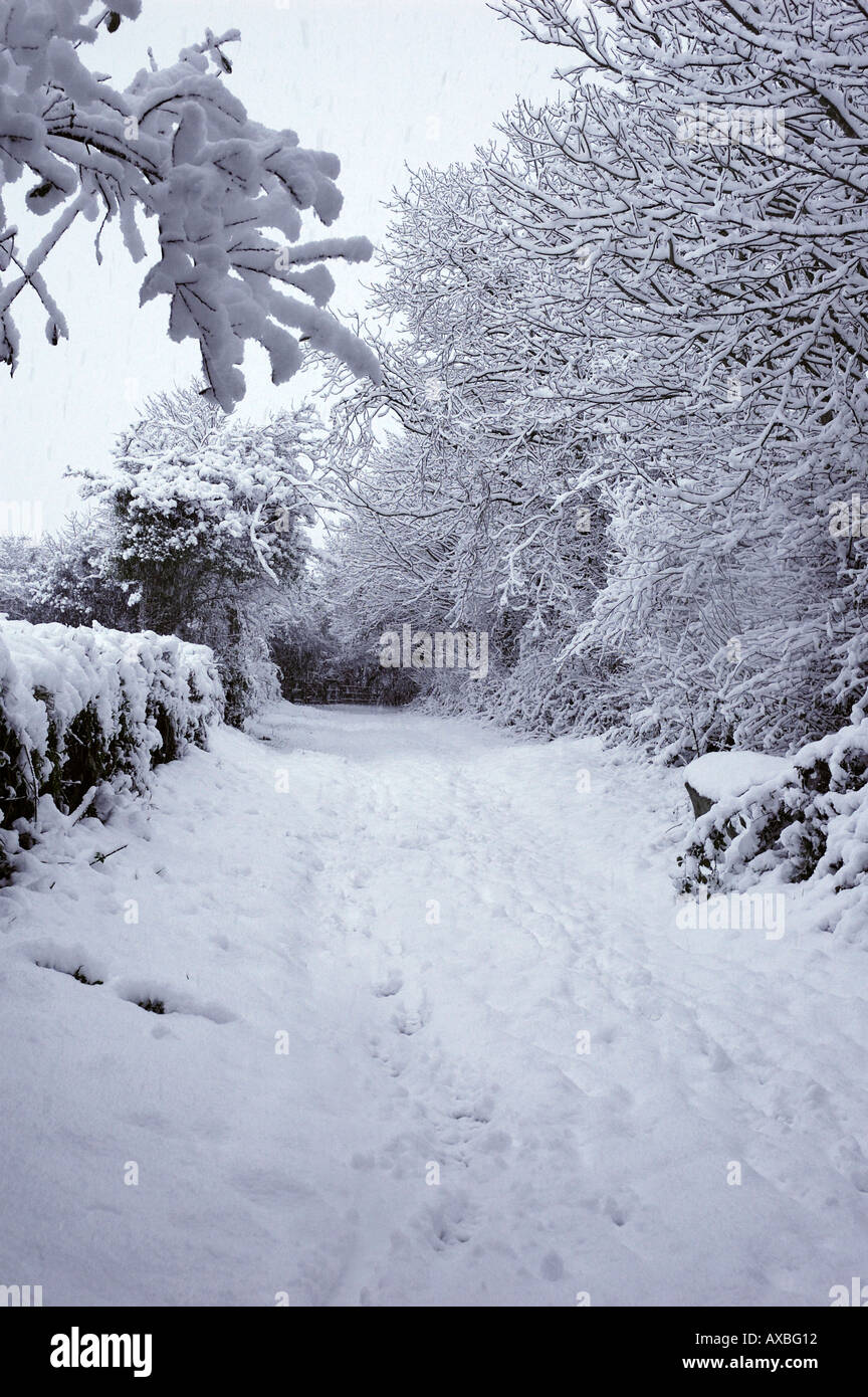 Cornwall lane snow hi-res stock photography and images - Alamy