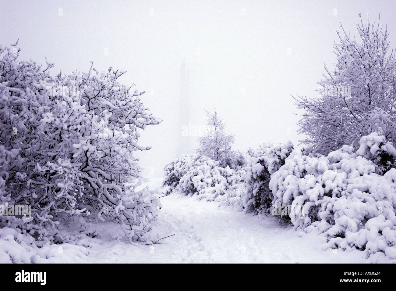 Bodmin beacon cornwall hi-res stock photography and images - Alamy