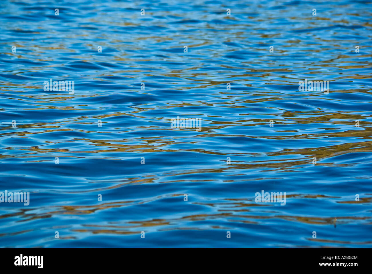 the gentle water ripples of the lake Stock Photo - Alamy