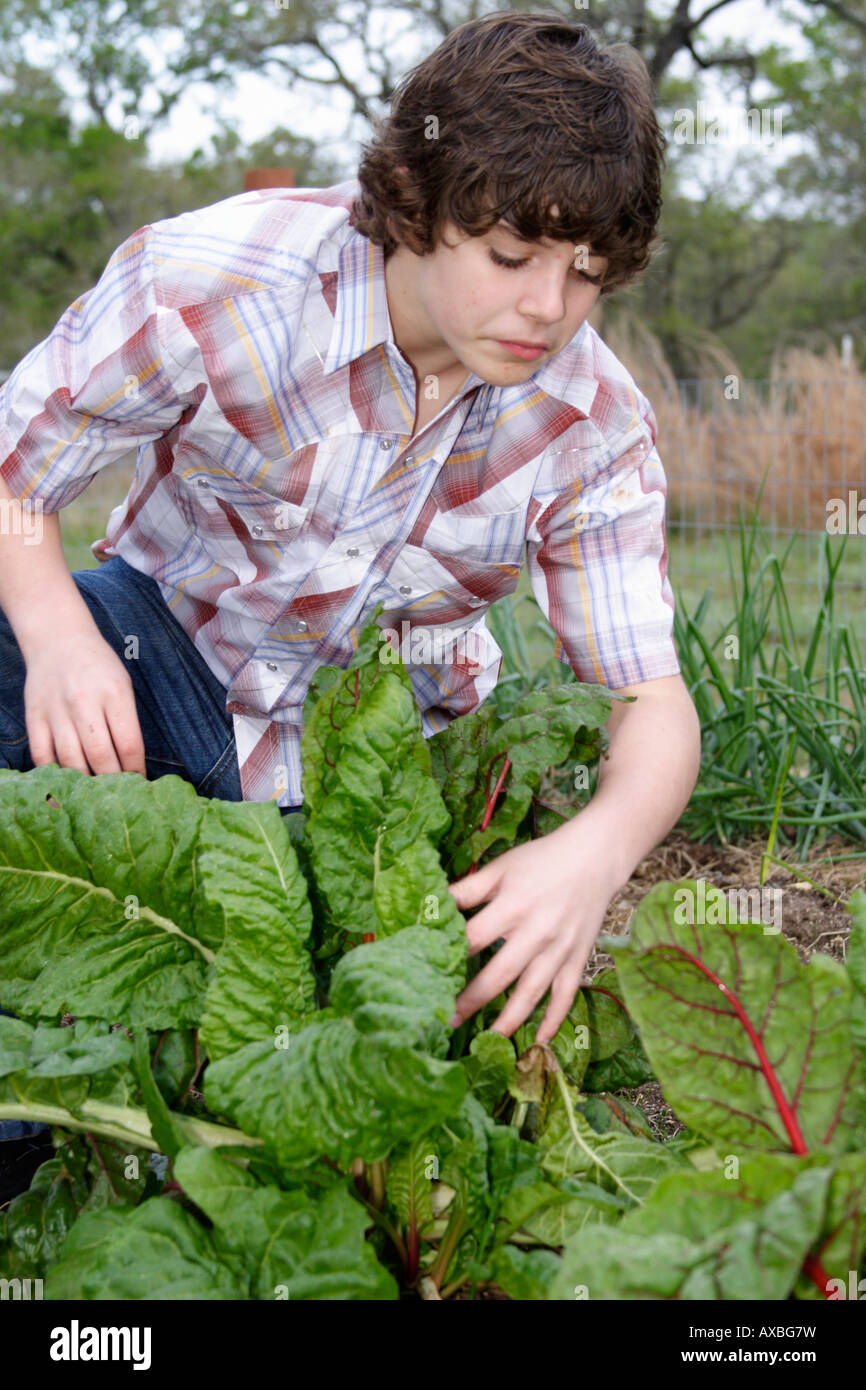 Teen farming hi-res stock photography and images - Alamy