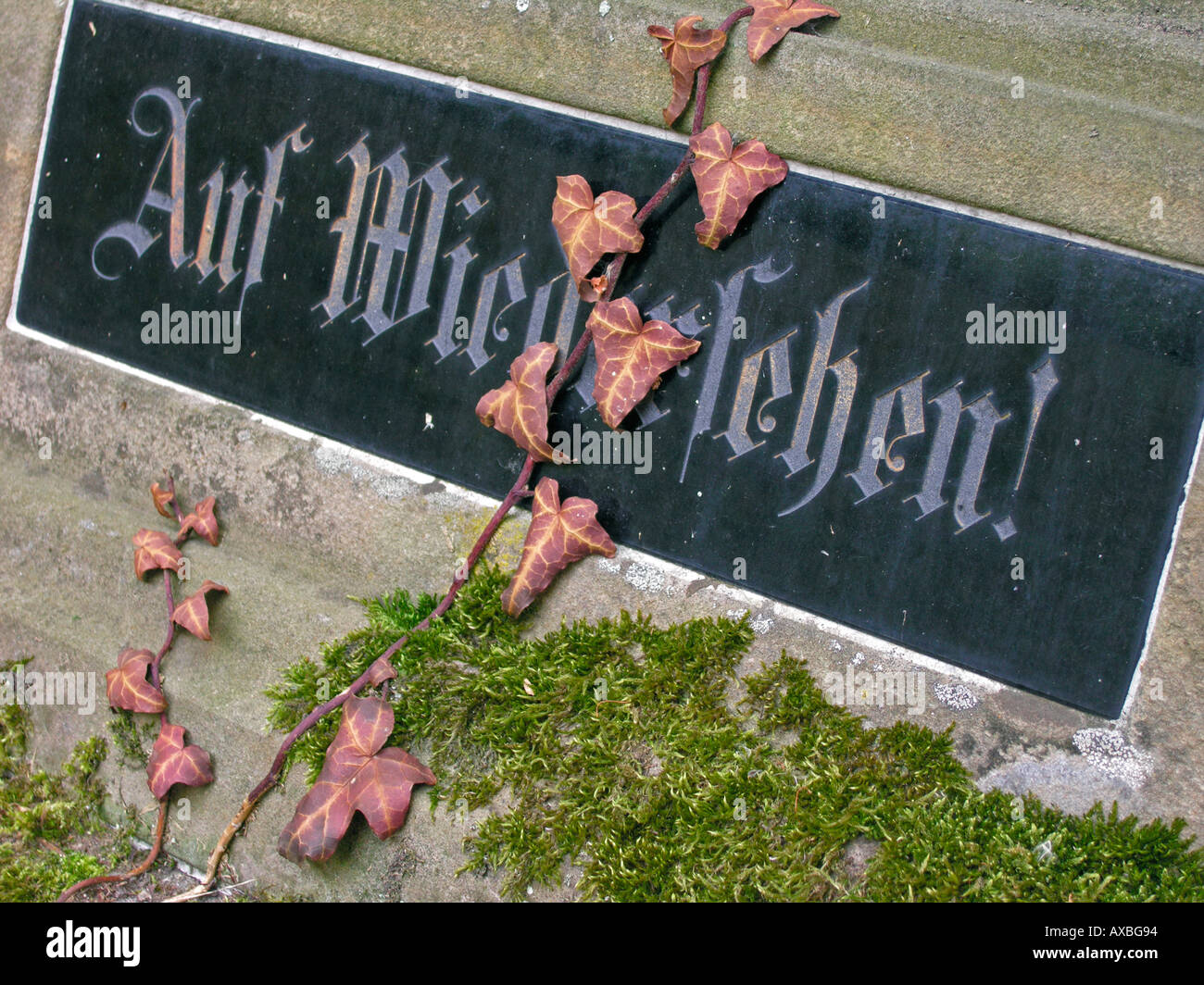 inscription with german text for good bye on a gravestone tombstone in ...