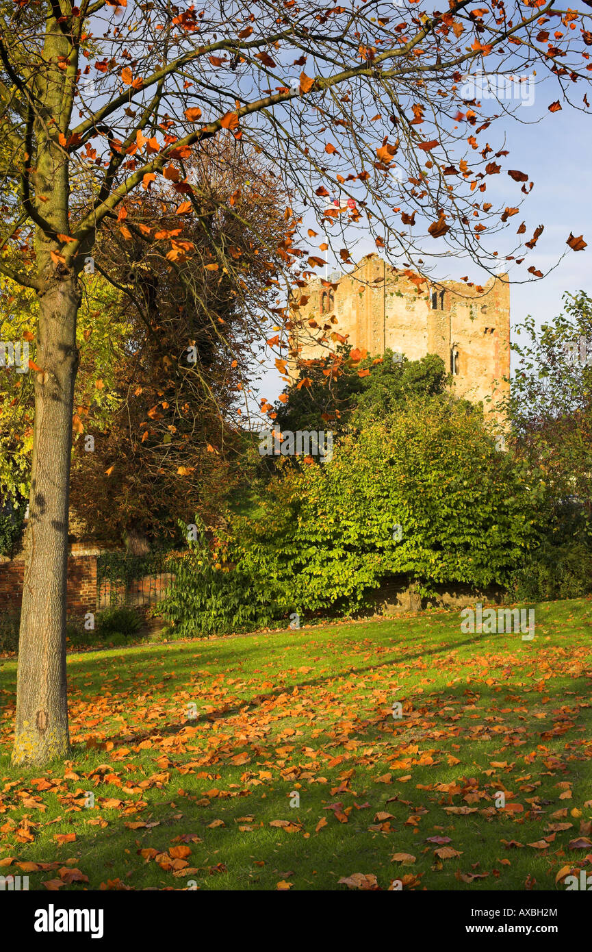 Guildford Castle from Castle grounds Guildford Surrey England United ...