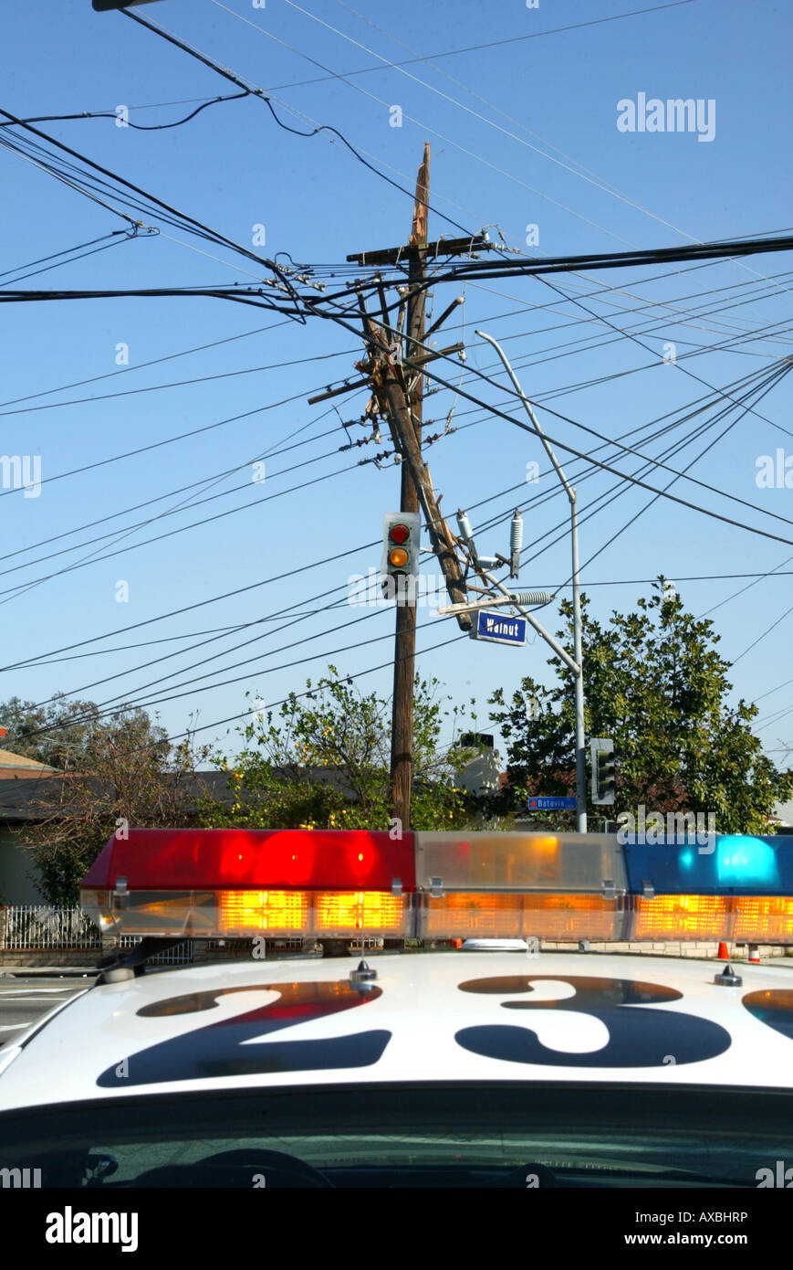Damage to trees, power poles, homes in heavy windstorm, Southern ...