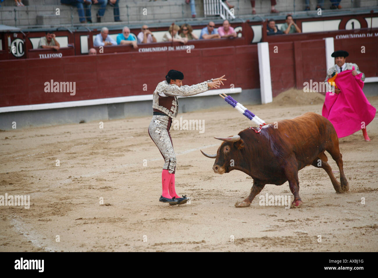 Bullfighting, Las Ventas arena, Madrid, Spain Stock Photo - Alamy