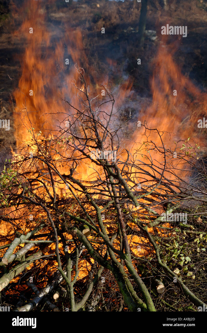 Bonfire smoke hi-res stock photography and images - Alamy