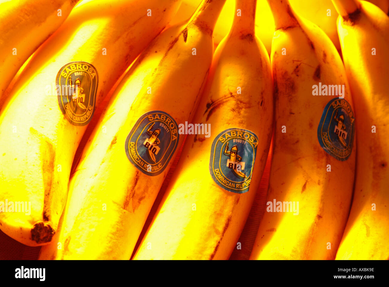 Dominicanian republic hi-res stock photography and images - Alamy