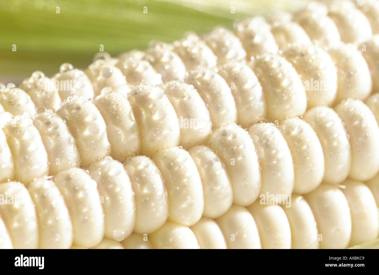 corn on cob Stock Photo - Alamy