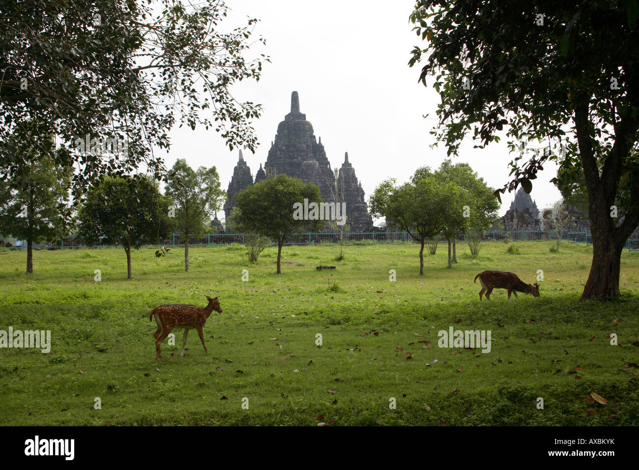 Plaosan temples Prambaban Java Indonesia Stock Photo - Alamy