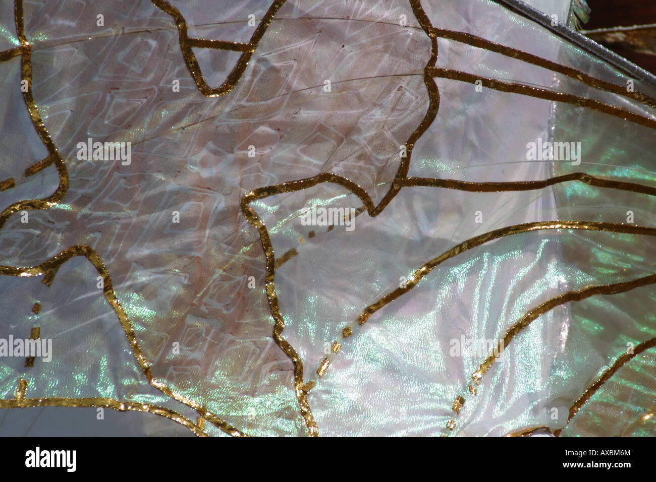 backlit shadow insect style wing plumage shimmer notting hill carnival ...