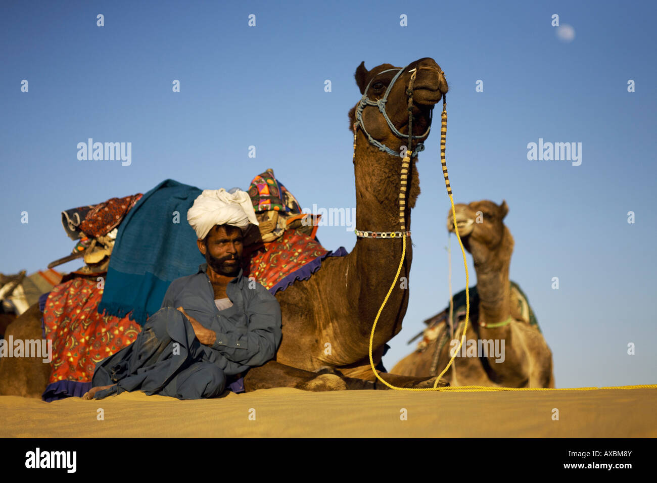 A portrait of a camel driver with his two camels in the desert ...