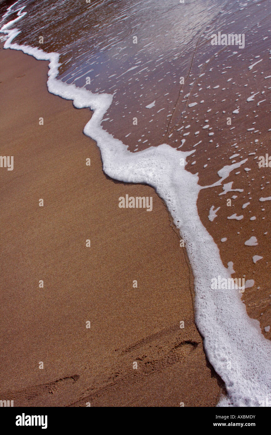 Wave covering sandy beach. froth water foam on sand. Vertical shot ...