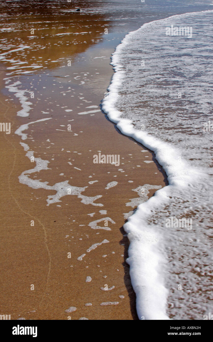 Wave covering sandy beach. froth water foam on sand. Vertical shot ...