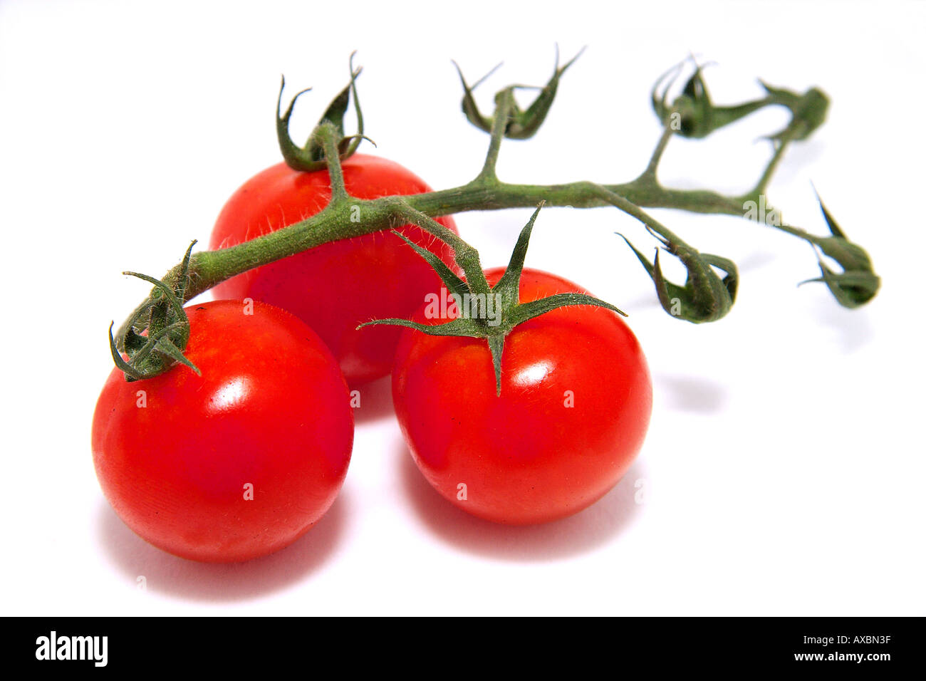 Still life of three cherry tomatoes Stock Photo - Alamy