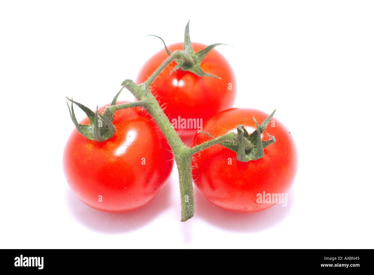 Still life of three cherry tomatoes Stock Photo - Alamy