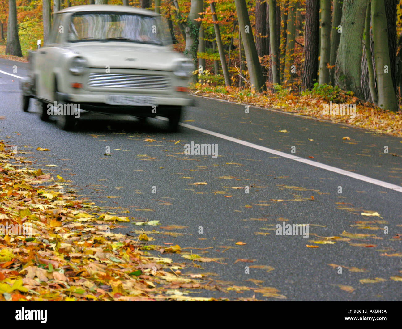 car Trabbi Trabant on a country road through a forest in the autumn ...
