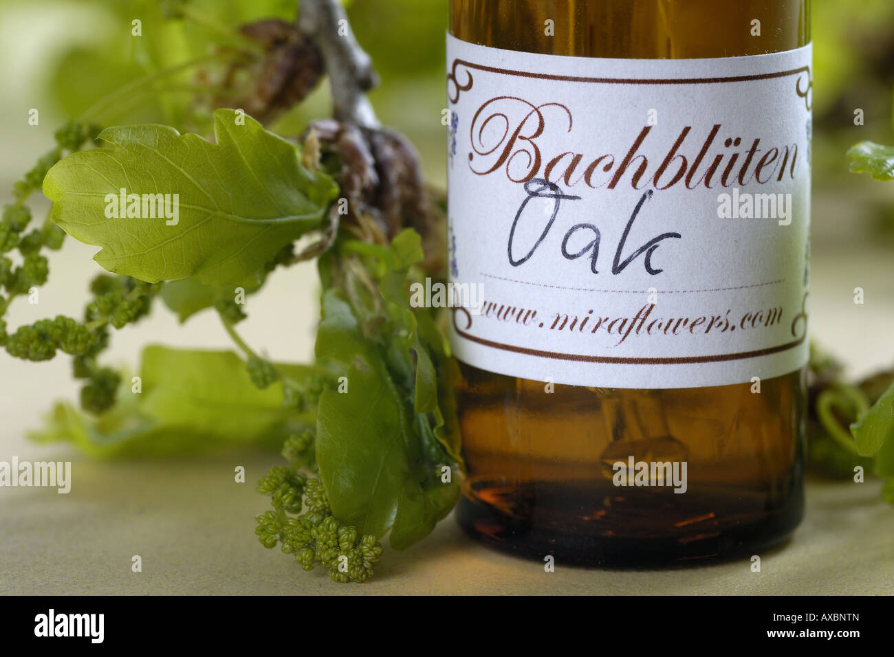 Bottle with Bach Flower Stock Remedy with Oak Stock Photo - Alamy