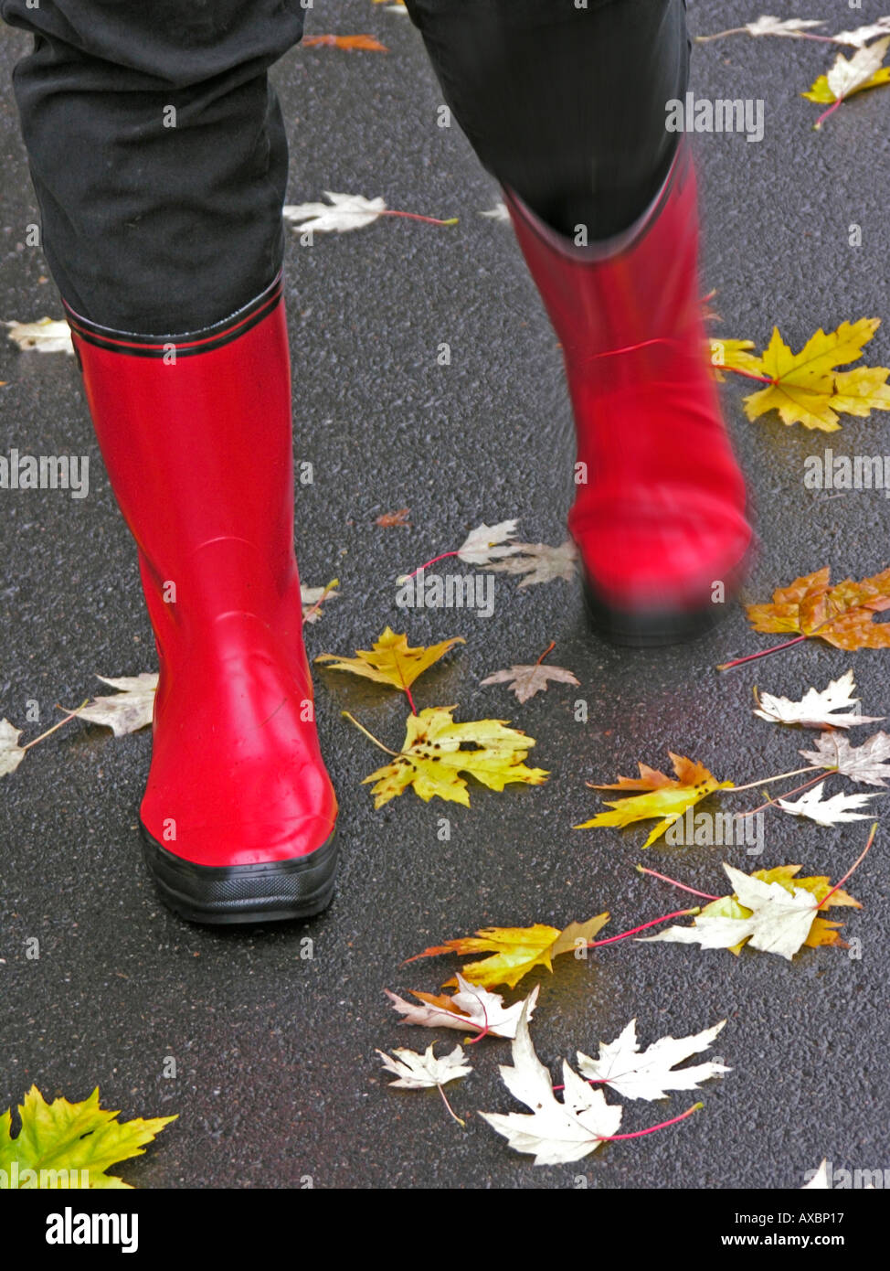 MR steps with legs in red rubber boots on asphalt with coloured autumn ...