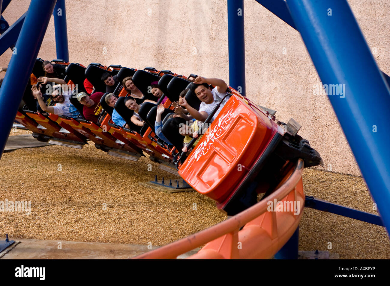 Scorpion Roller Coaster at Busch Gardens Tampa Florida USA Fl U S Stock ...