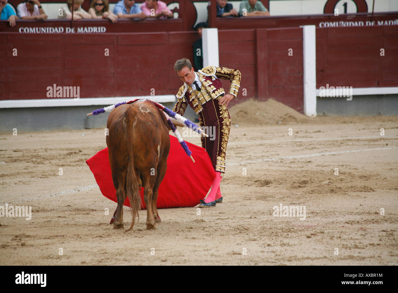 Bullfighting, Las Ventas arena, Madrid, Spain Stock Photo - Alamy